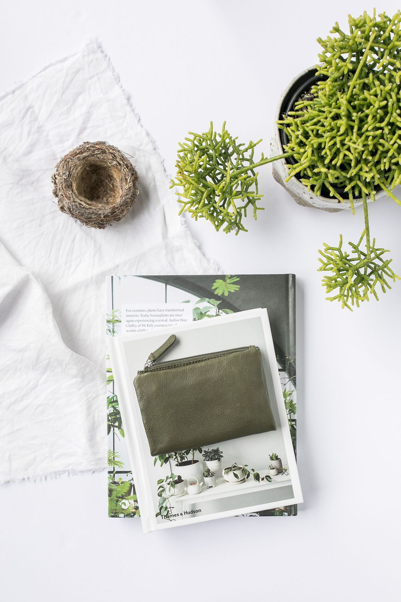 Dusky Purse – Chasingmax